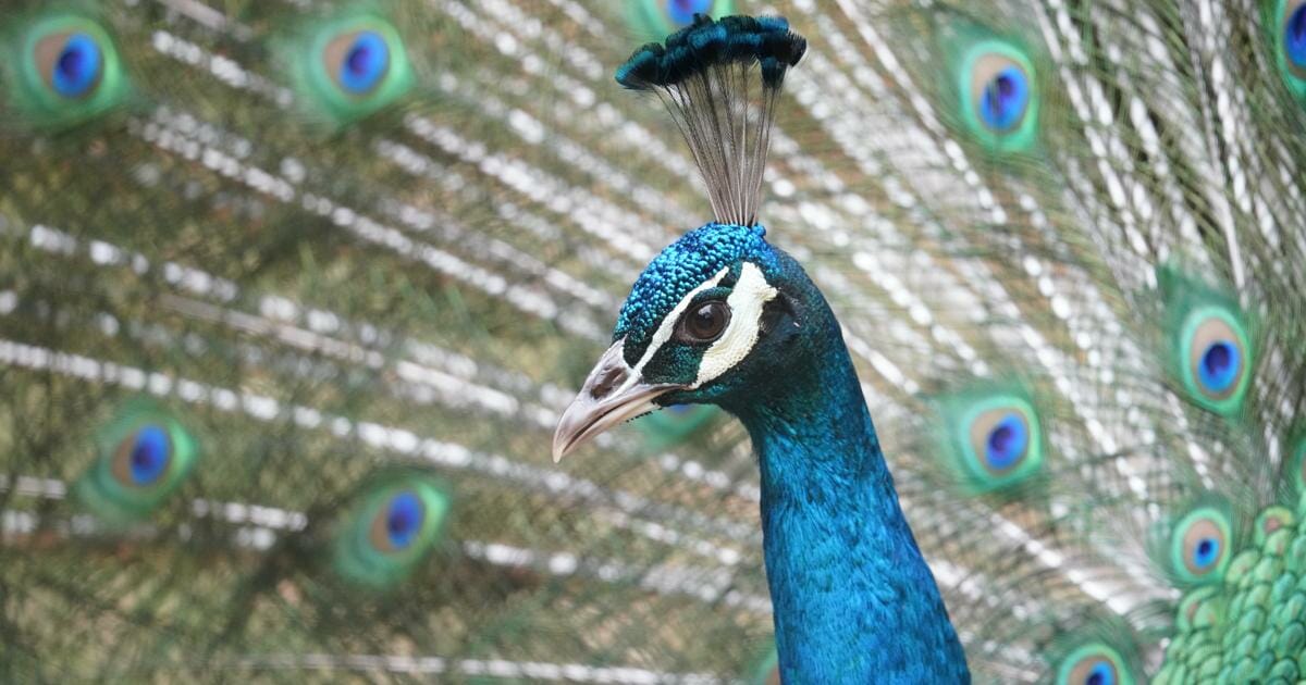 Automate Your Workload Insights | Xebia