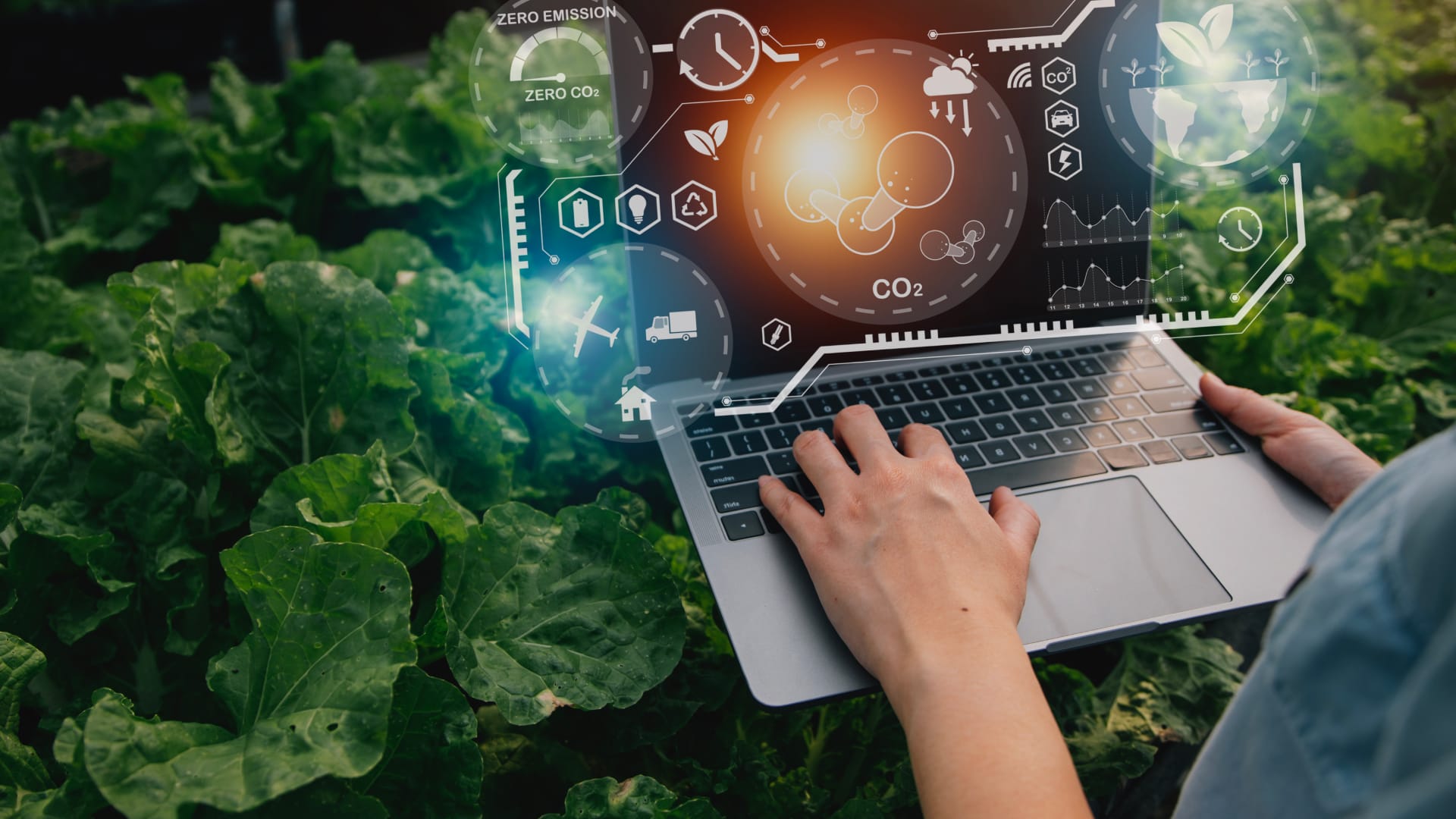 Sustainable Software Engineering Through The Lens Of Environmental | Xebia