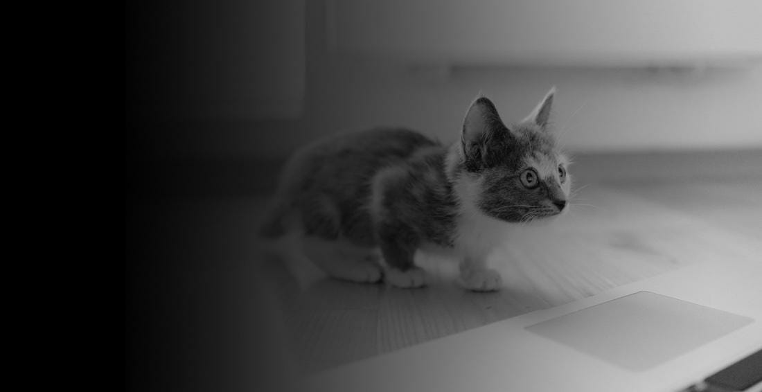 Hello Rust - Learning A Programming Language | Xebia