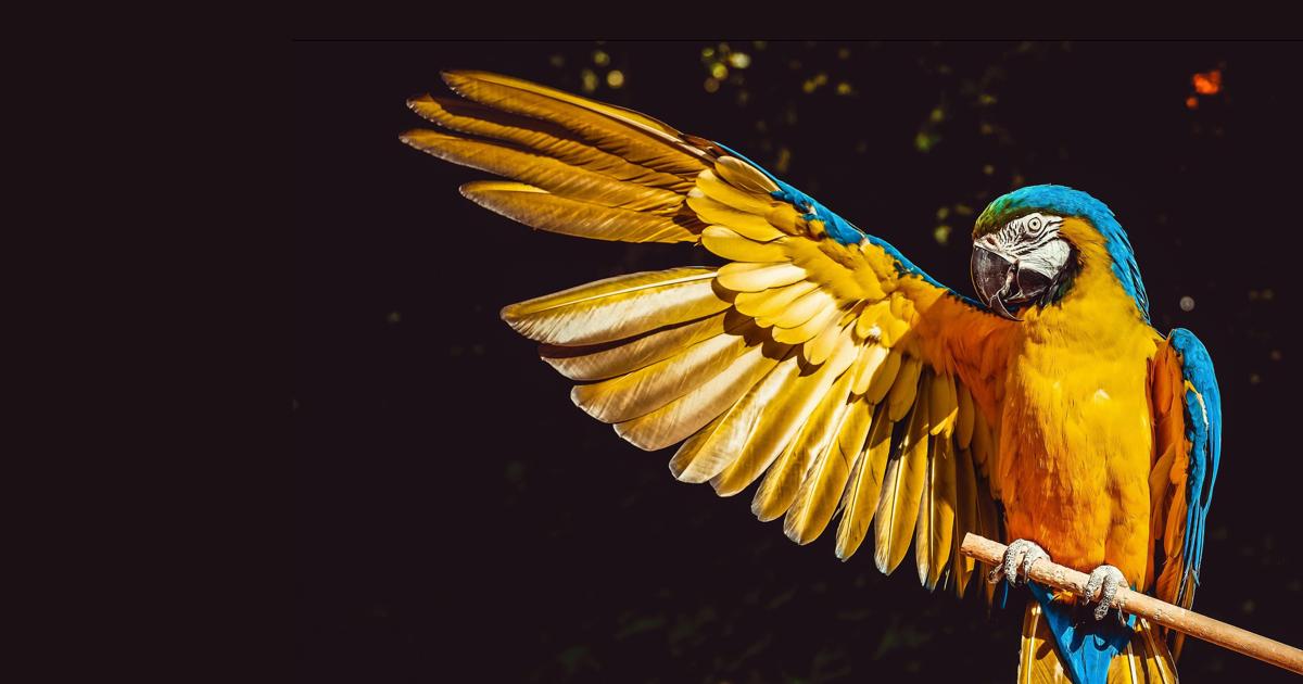 RAG On GCP: Production-ready GenAI On Google Cloud Platform | Xebia