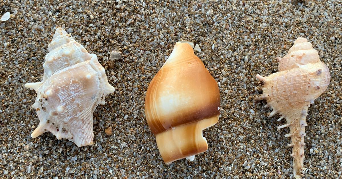 How Innovation Tokens Can Change Your Life | Xebia